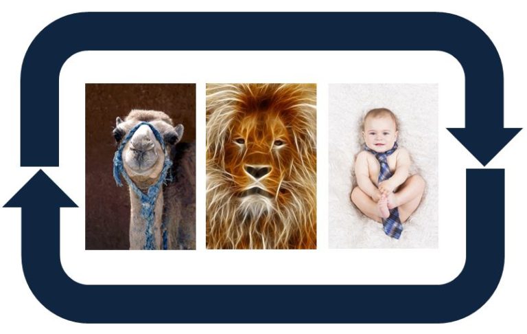 A Professional Metamorphosis – Gabi Guillén